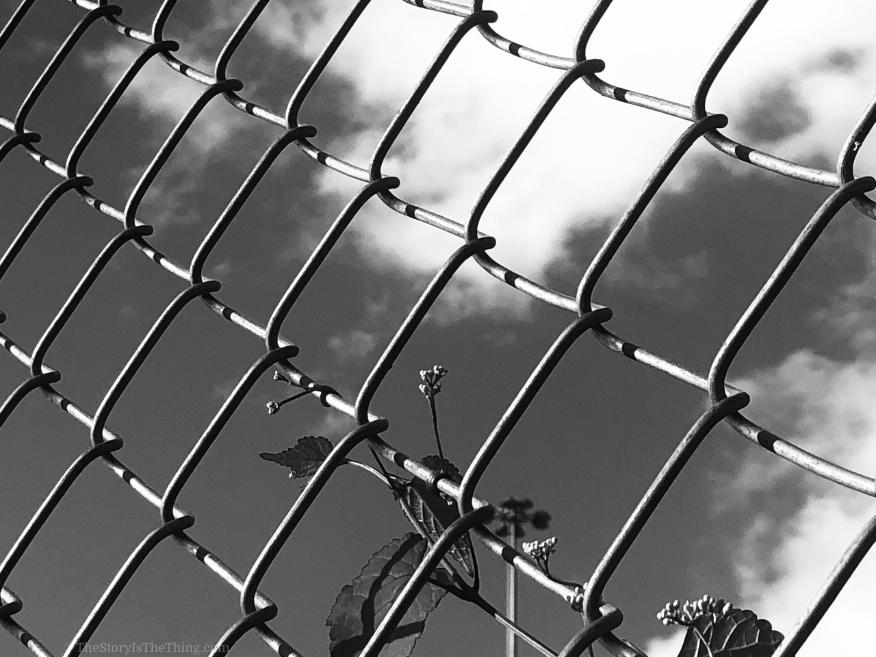 Up close with the black-and-white of things – TheStoryIstheThing