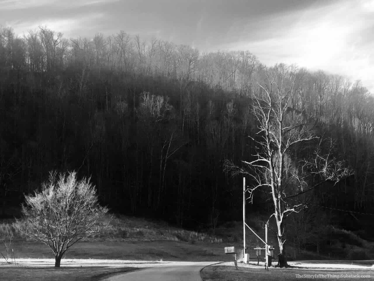 In the heart of the heart of the country – TheStoryIstheThing