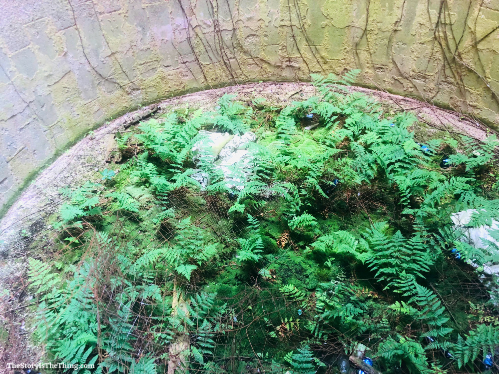 Looking in on the old grain silos upriver, before they go down ...