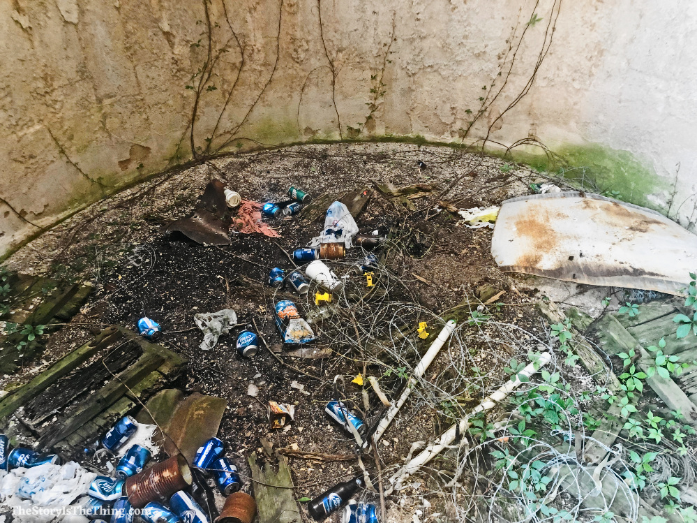 Looking in on the old grain silos upriver, before they go down ...