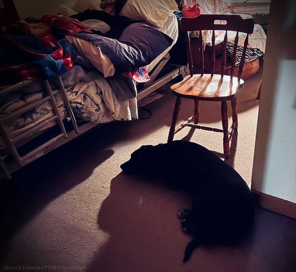 Saying Goodbye to Bill | In 3 Parts – TheStoryIstheThing